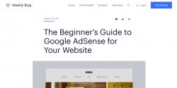 Best Google AdSense Courses and Guides in 2025 (Free and Paid)